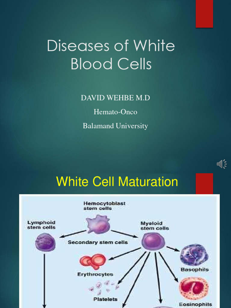 White Blood Cell Disorders Explained | PDF | Science & Mathematics