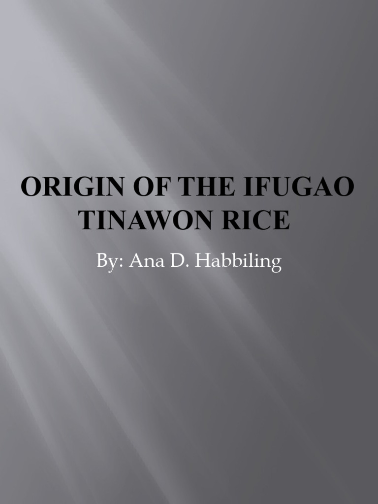 Origin of The Ifugao Tinawon Rice | PDF
