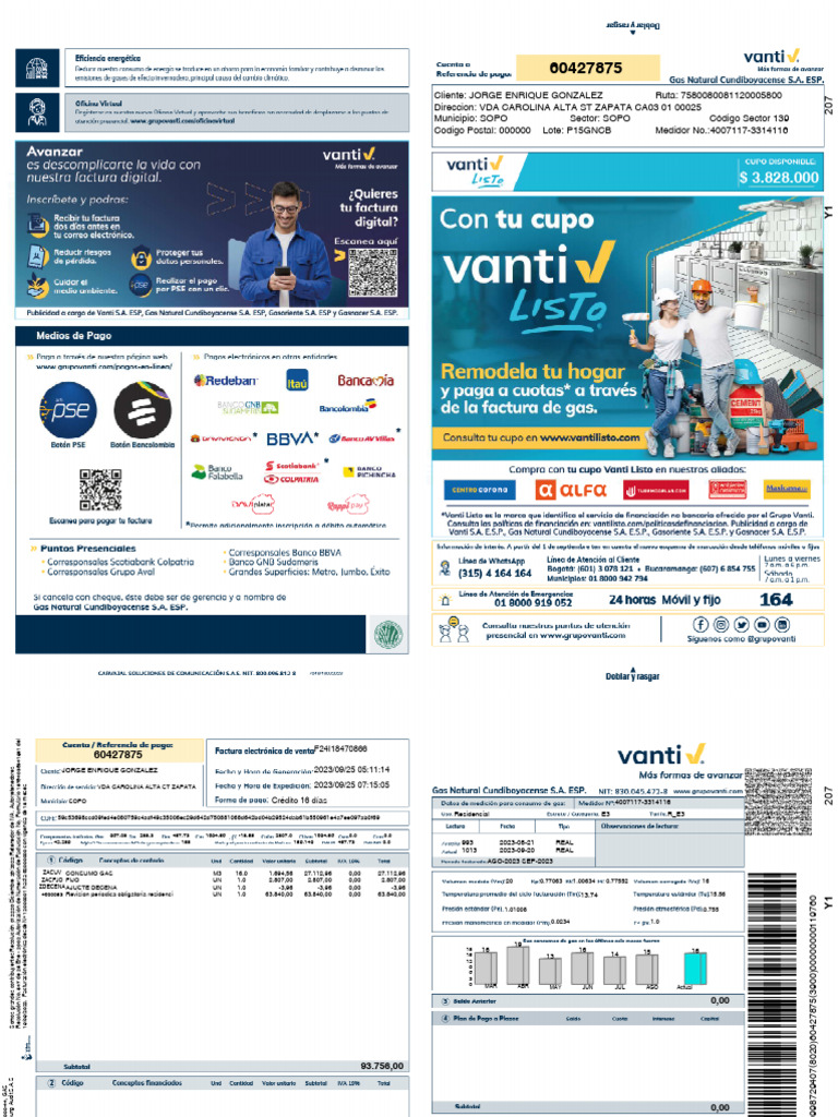 Factura 60427875 | PDF