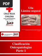 Acrodisostosis | PDF | Clavo (anatomía) | Ciencias de la Salud