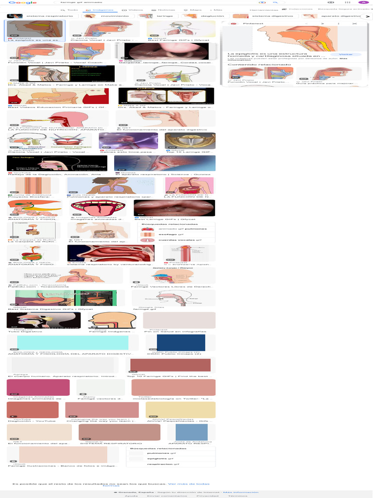 Faringe Gif Animado - Búsqueda de Google | PDF