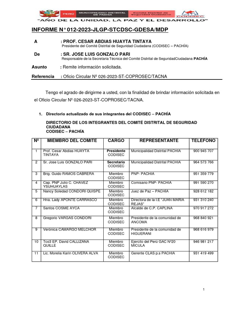 Informe 012 Codisec | PDF