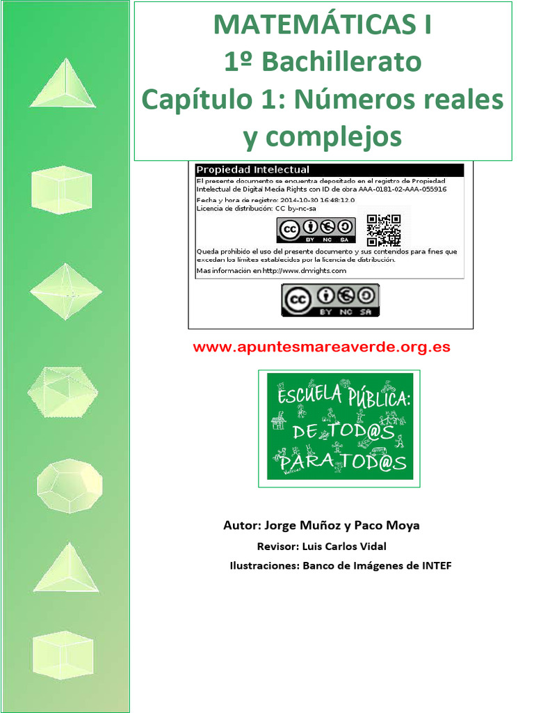 BC1 01 Complejos | PDF