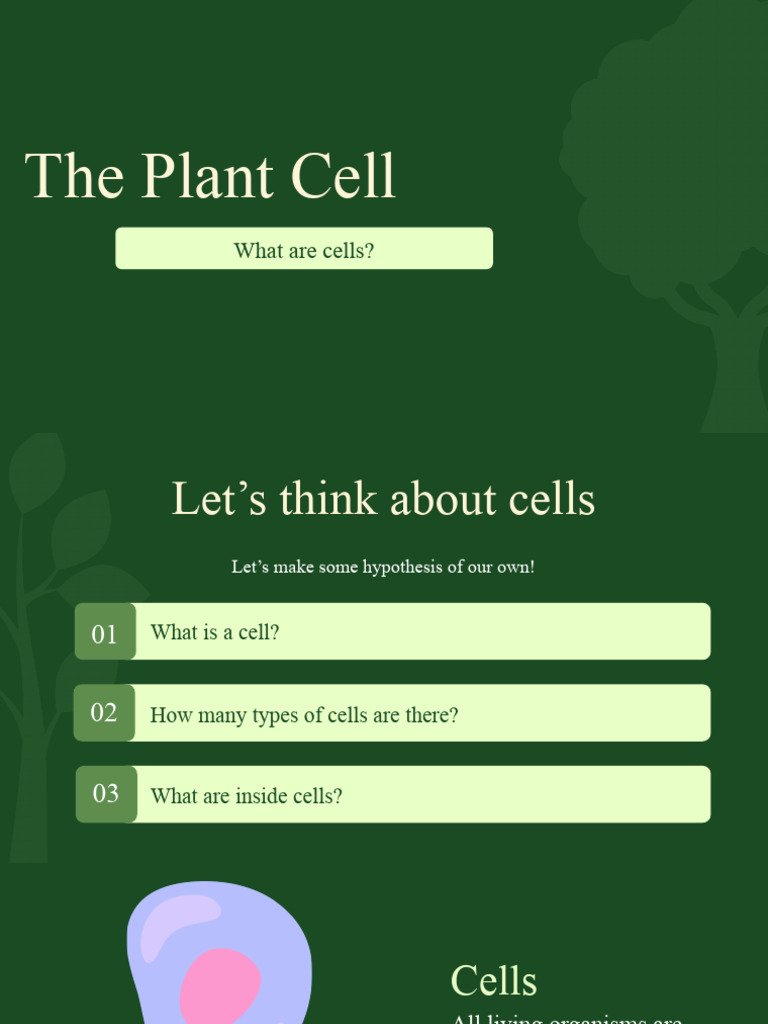 Grade 6 Plant Cells | PDF