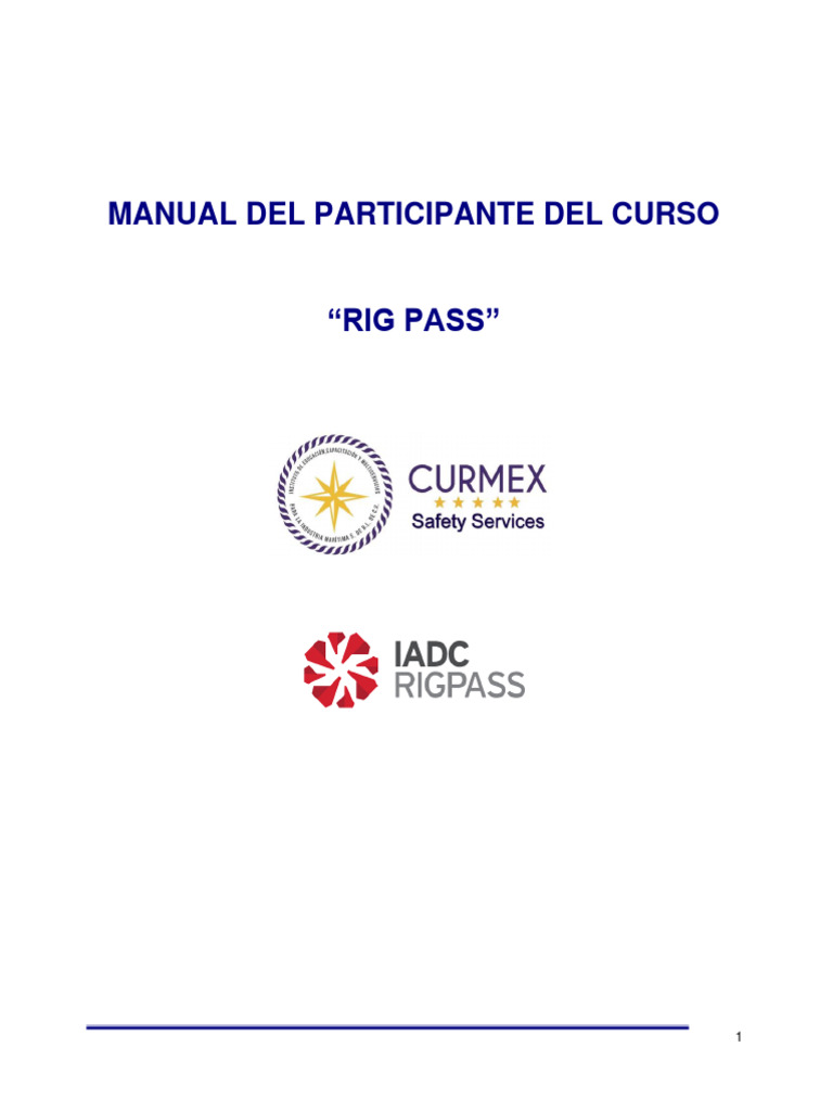 Manual Rig Pass | PDF | Valores | Drogas