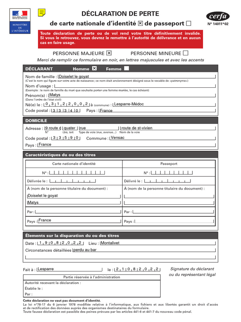 Cerfa: Déclaration de Perte de Carte Nationale D'identité de Passeport | PDF