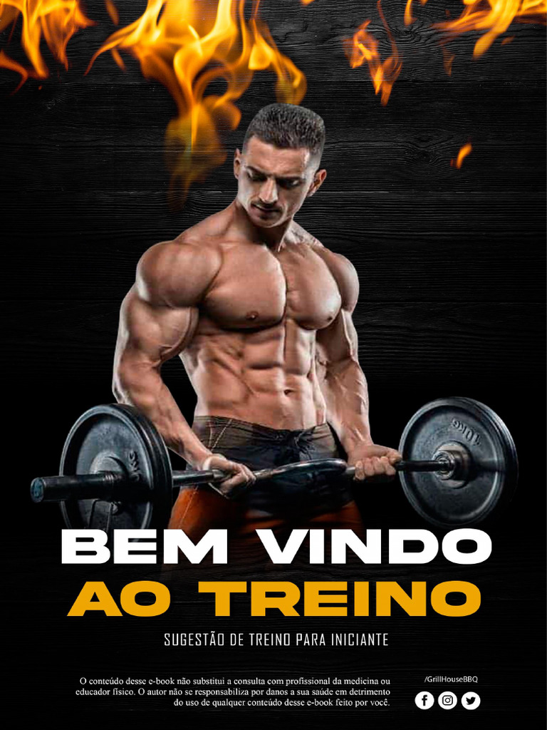 TREINO ABC INICIANTE | PDF