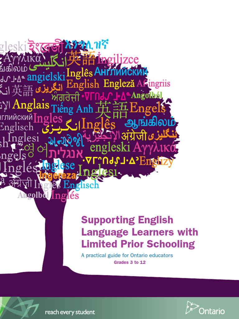 Supporting English Language Learners With Limited Prior Schooling A ...