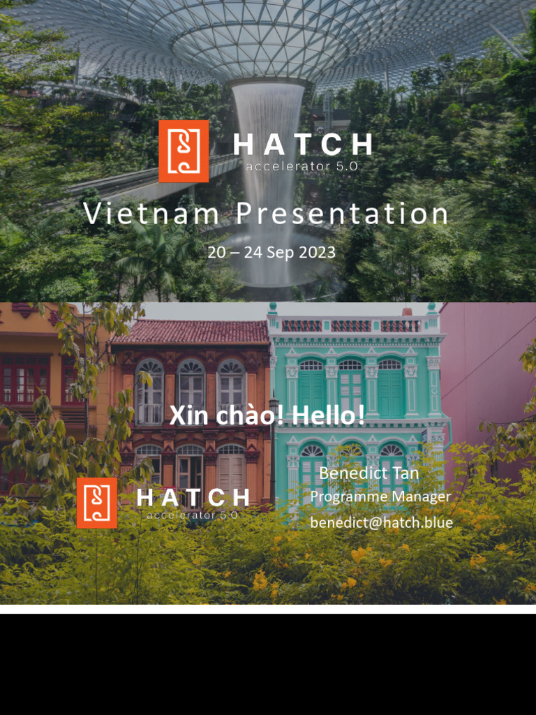 Vietnam Presentation - Hatch Accelerator 5.0 | PDF