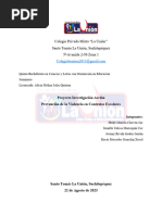 Proyecto de Investigación Accion SEMINARIO 2013 Impave | PDF | Residuos ...