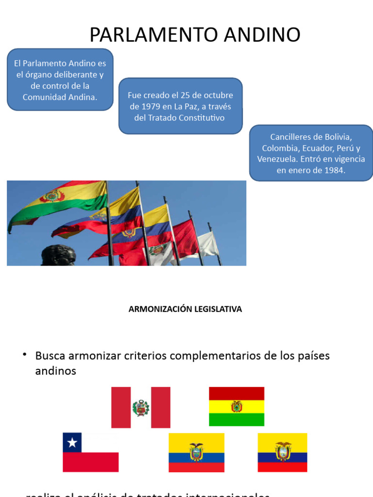 Funciones y Estructura del Parlamento Andino | PDF | America latina ...
