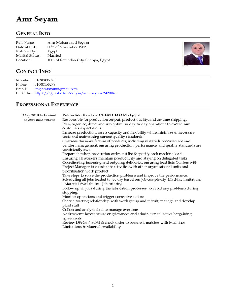 Amr Seyam CV-1 | PDF