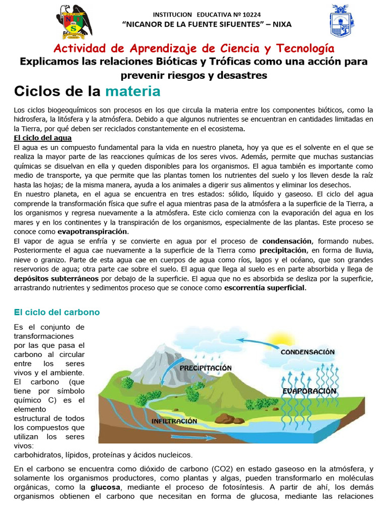 Hoja De Trabajo Sobre El Ciclo Del Nitrógeno Con Respuestas Trabajo
