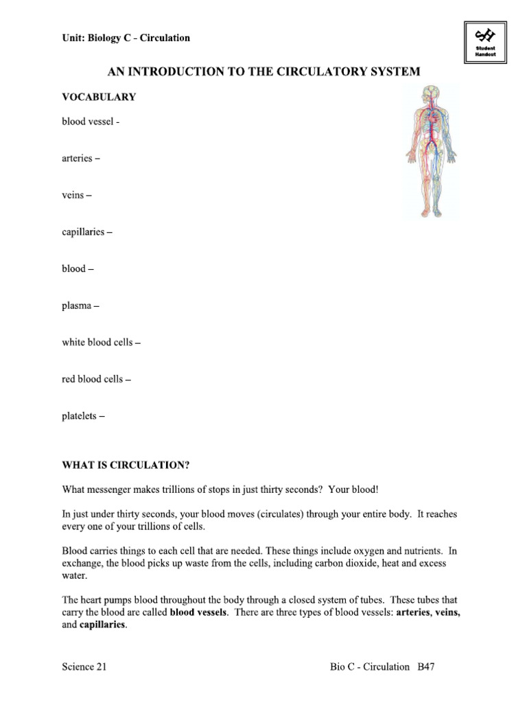 Revision+Worksheet +Circulatory+System | PDF