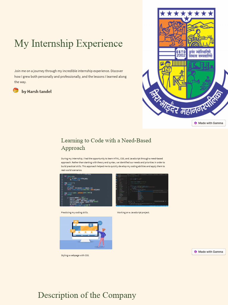 My Internship Experience | PDF
