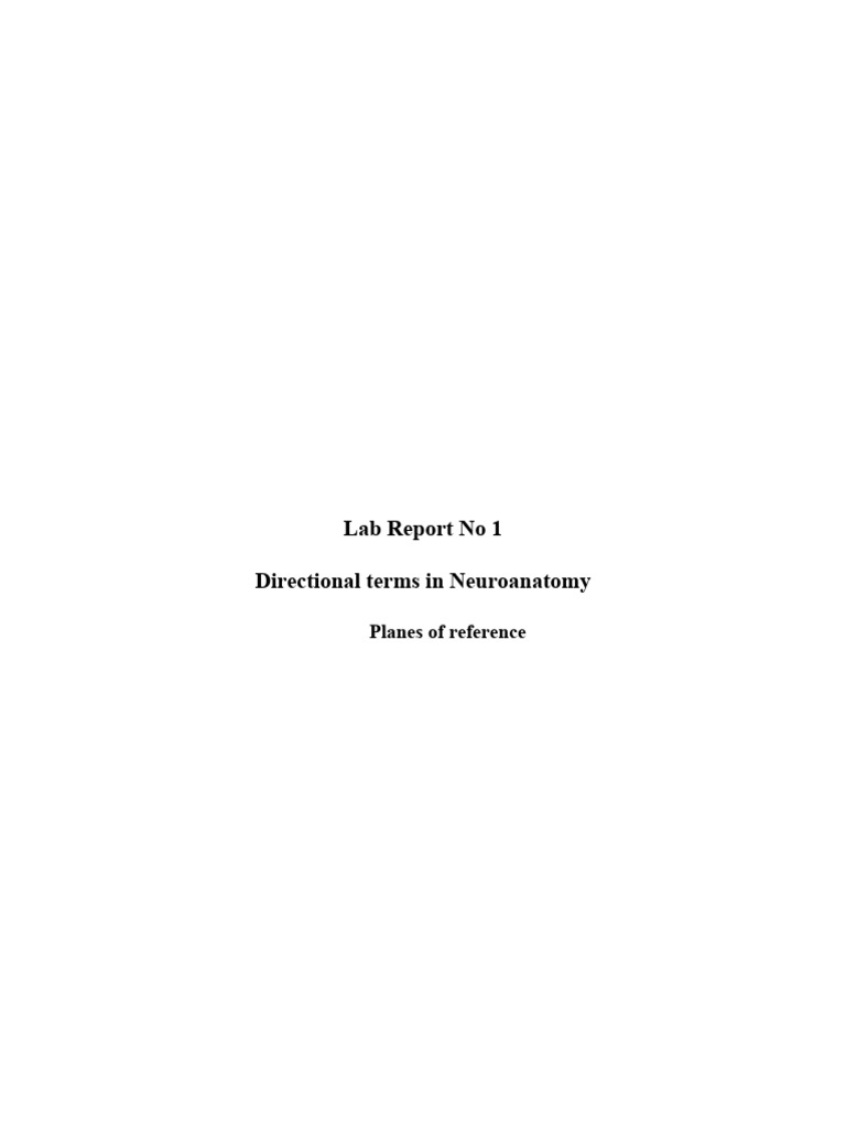 BNS Lab Reports 2020 | PDF | Science & Mathematics