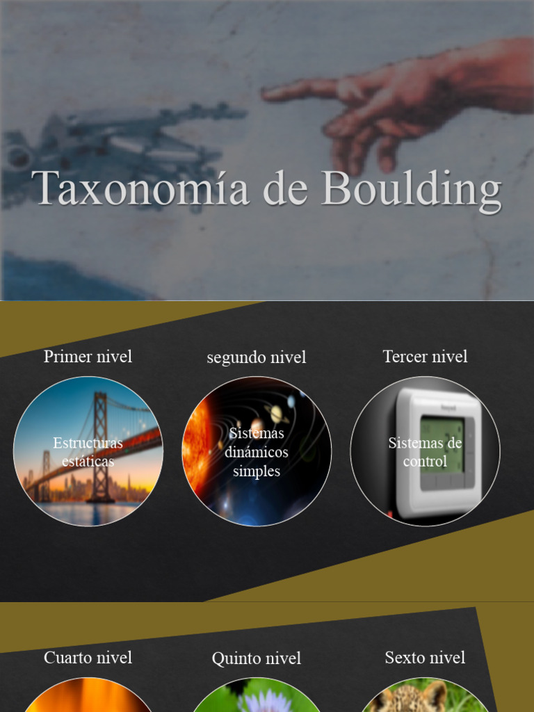 Taxonomía de Boulding | PDF