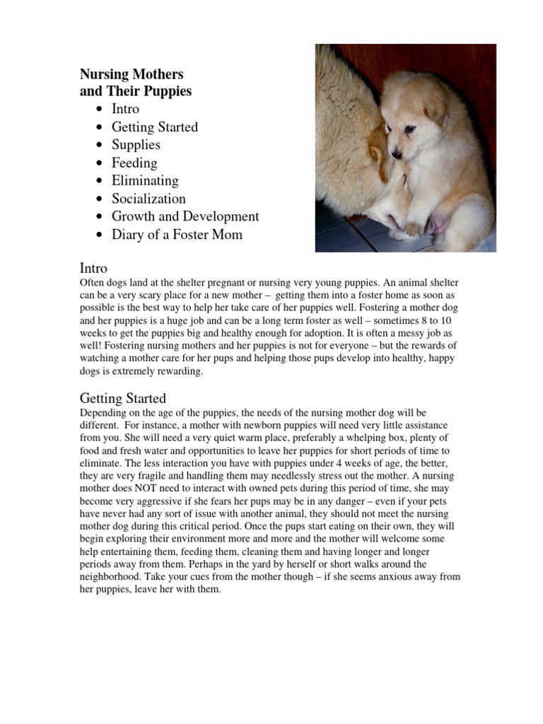 Nursing Mothers and Their Puppies Author AustinTexas | PDF | Weaning | Dogs