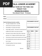 Primary Six Science End of Term III Exams | PDF | Plant Nursery