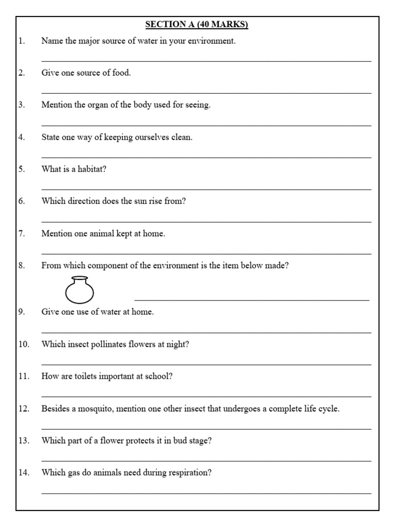 P.4 Science Test Revision Questions | PDF | Seed | Germination