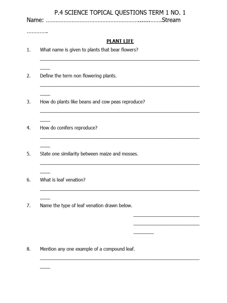 P4 Science Topical Questions Term 1 | PDF | Mulch | Legume