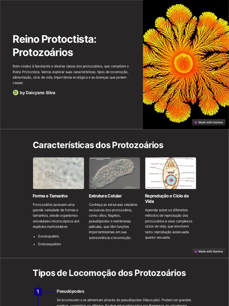 Reino Protoctista Protozoarios | PDF