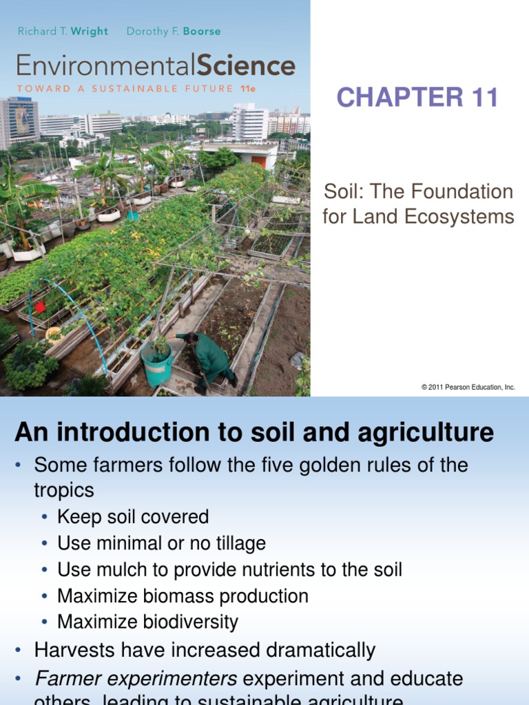 Soil: The Foundation For Land Ecosystems: © 2011 Pearson Education, Inc ...