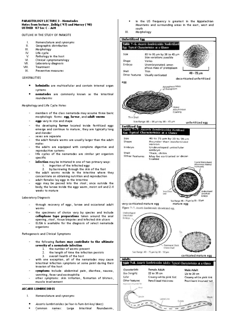 Nematodes: Intestinal Roundworms Overview | PDF | Diseases And ...