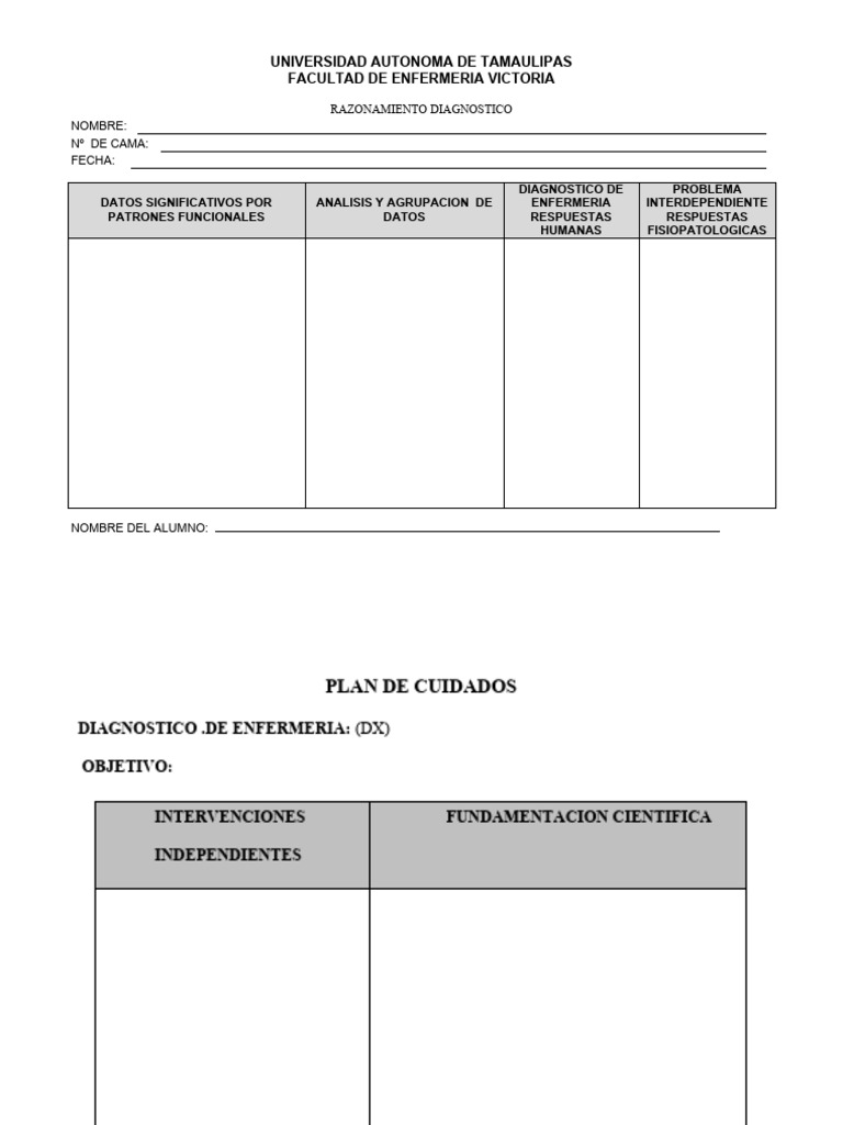 Guias de Valoracion y Formato para PAE | PDF
