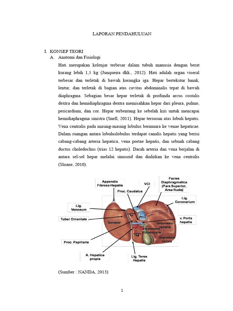 LP Tumor HT | PDF