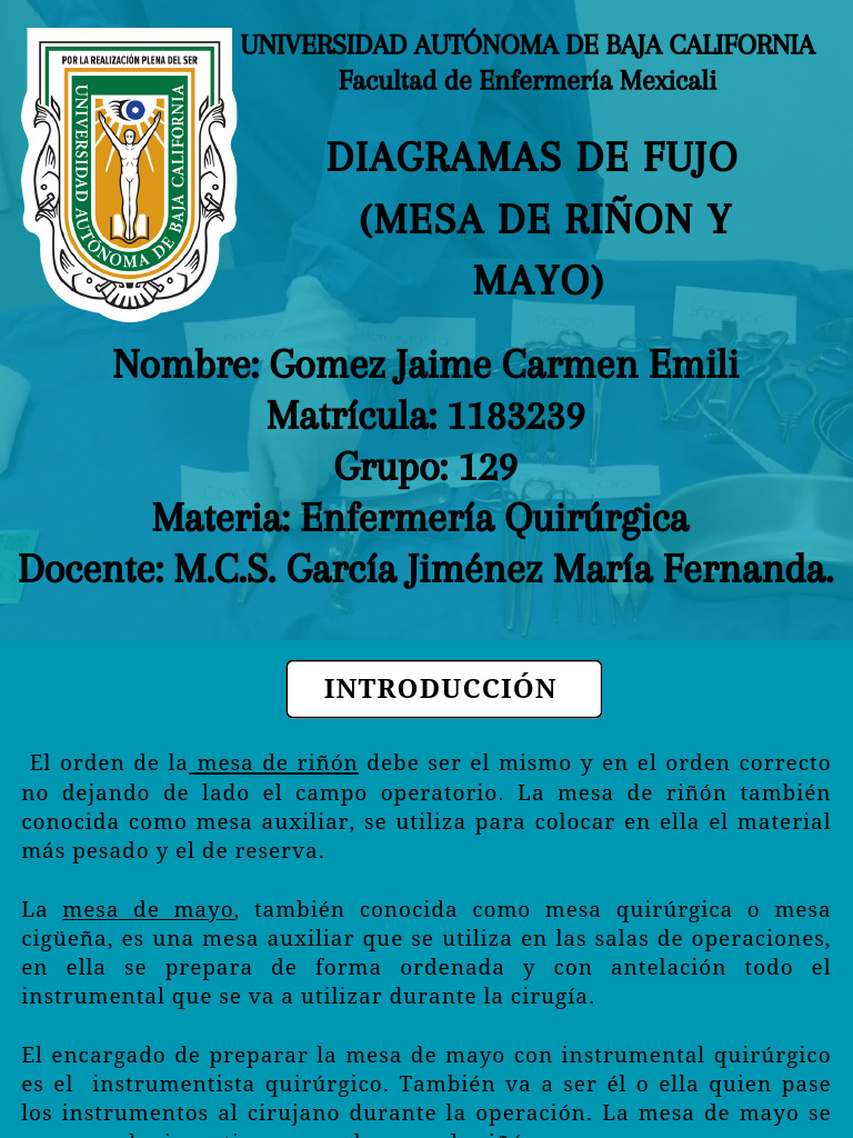 Diagramas de Fujo (Mesa de Riñon y Mayo) | PDF