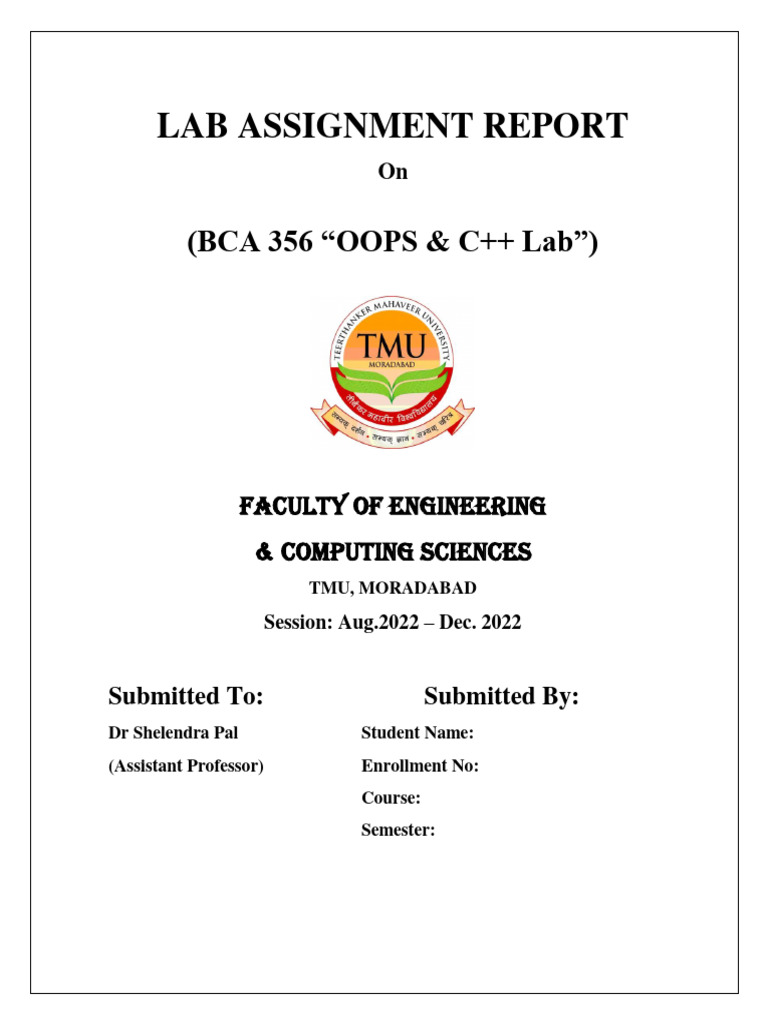 OOPs Assignment | PDF OOPs Assignment | PDF