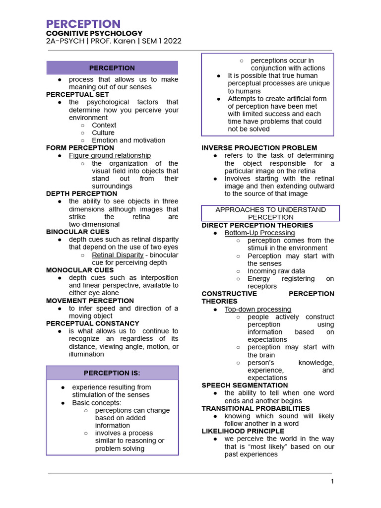 Chapter 3 Perception Download Free Pdf Perception Theory Of Mind