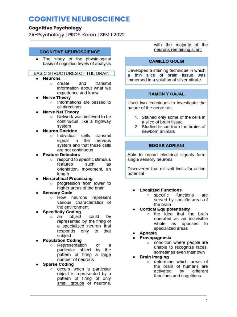 Chapter 2 - Cognitive Neuroscience | PDF