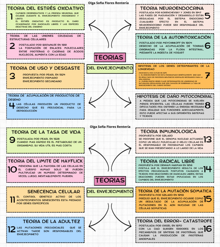 Mapa Conceptual - Teorias Del Envejecimiento - Flores Olga | PDF