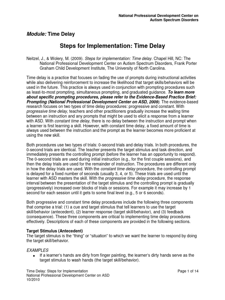 Steps For Implementation Time Delay Pdf