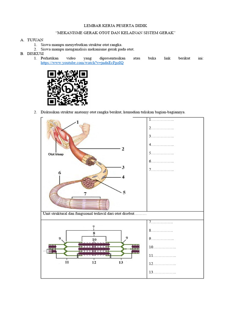 LKPD Sistem Gerak Otot | PDF