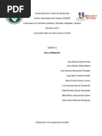 Qué Es El CONAP | PDF