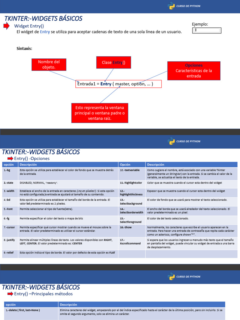 Tkinter Uso Del Widget+Entry | PDF
