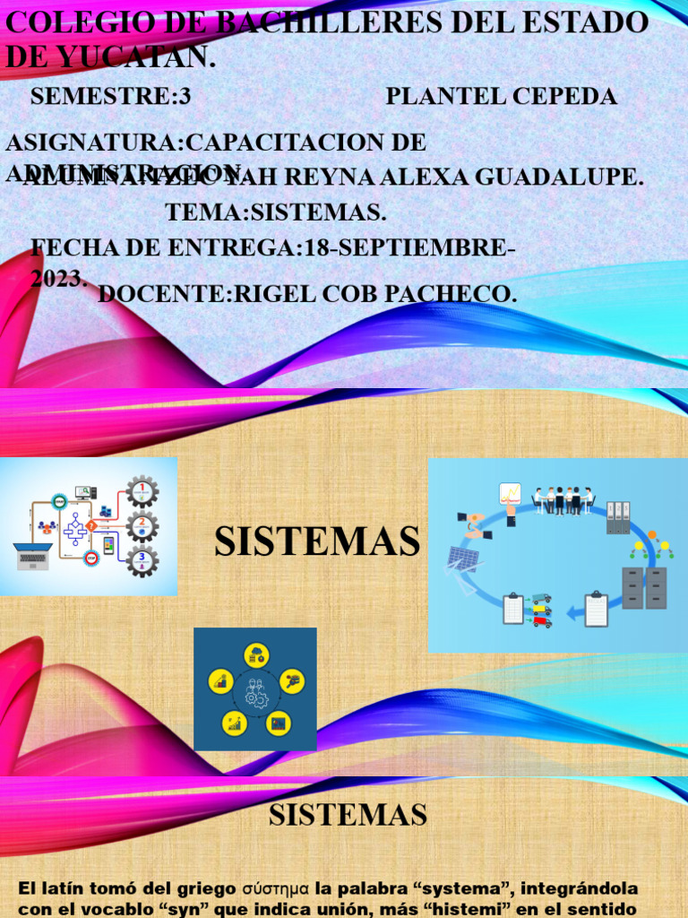 Tzec Alexa Sistemas | PDF