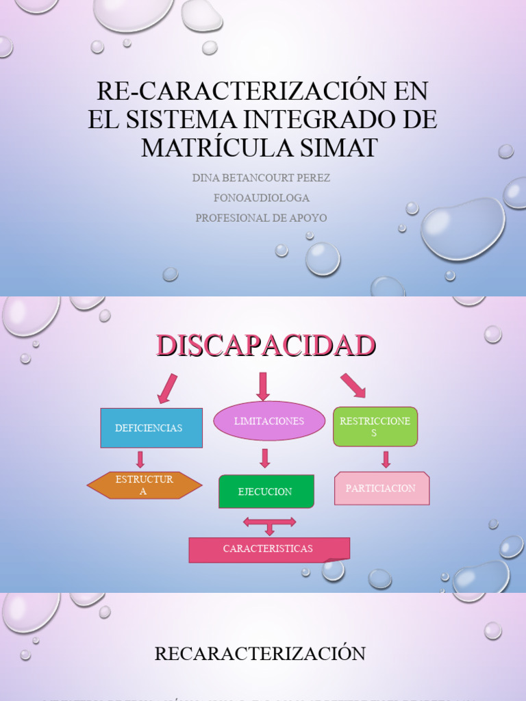 Caracterización en El Sistema Integrado de Matrícula SIMAT | PDF