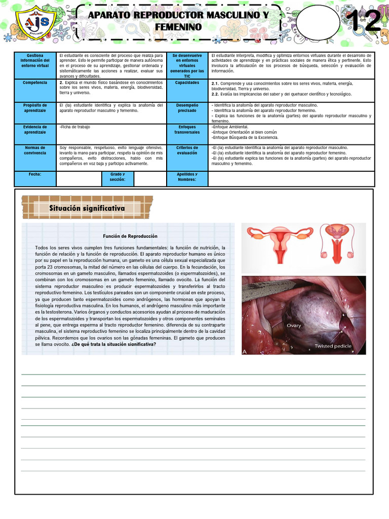 Ficha 12 - Aparato Reproductor | PDF