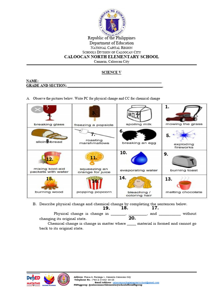 Science Activity Sheet for Grade V | PDF