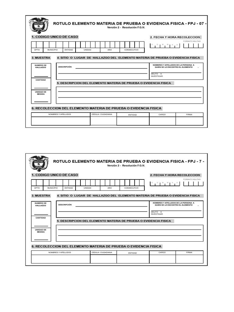FPJ-07 Rotulo Cadena de Custodia | PDF