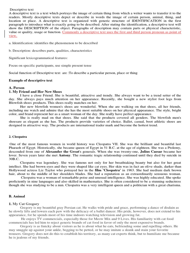 Understanding Descriptive Texts | PDF | Foreign Language Studies ...