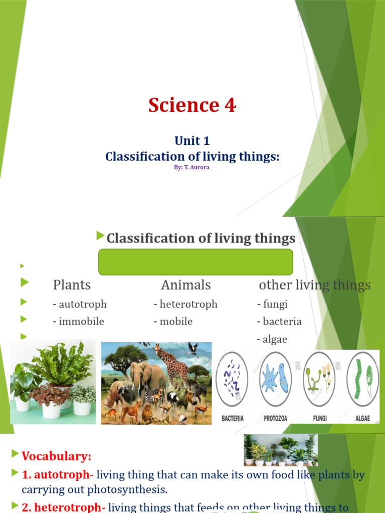 Science 4 Semester 1 | PDF