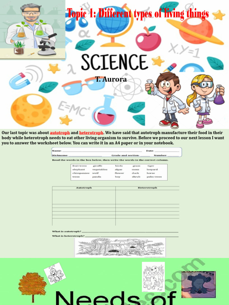 Science 3b | PDF | Plants | Photosynthesis