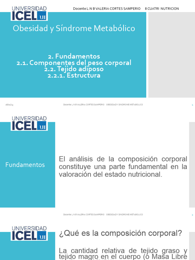 NUTRICION OBESIDAD SM Tema 3 | PDF | Tejido adiposo | Obesidad