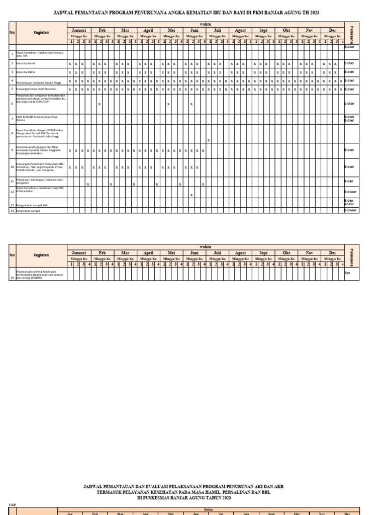 Jadwal Pemantauan Evaluasi Program KIA | PDF