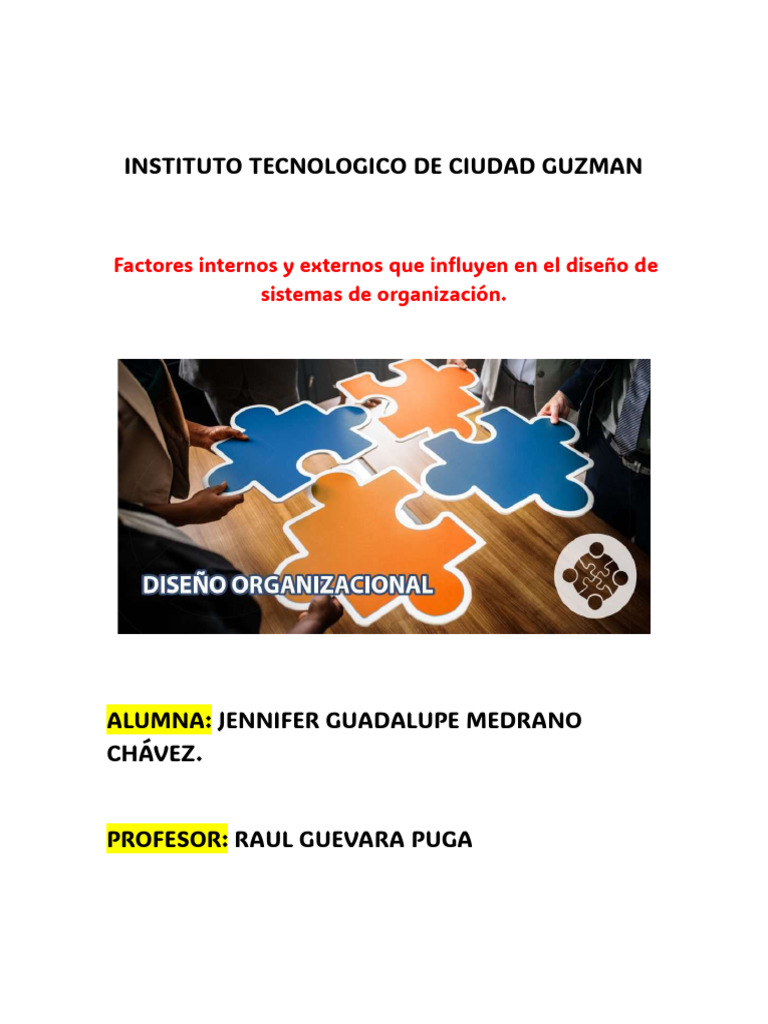 Factores Internos y Externos | PDF